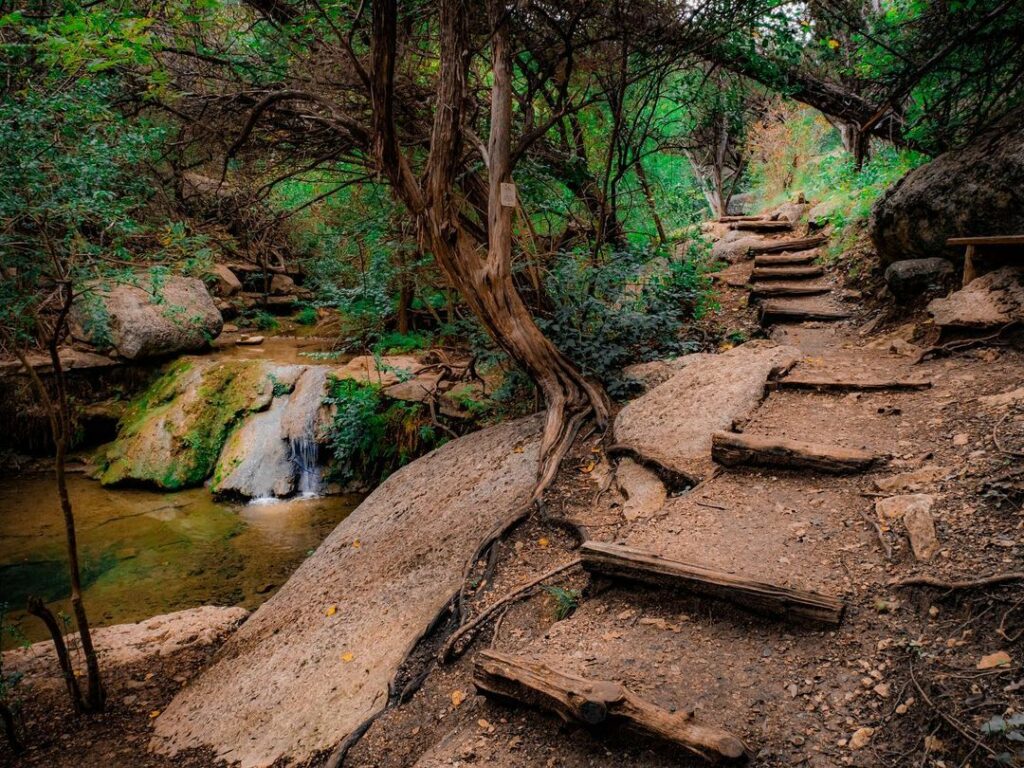13 Best Hikes in Austin, Texas - Austin Texas Real Estate