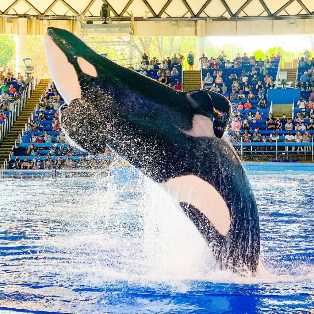 The 15 Best Amusement Parks in and Around Austin