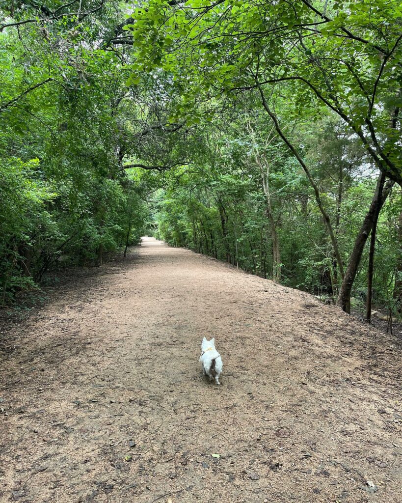 18 Gorgeous Parks in and Around Austin - Austin Texas Real Estate