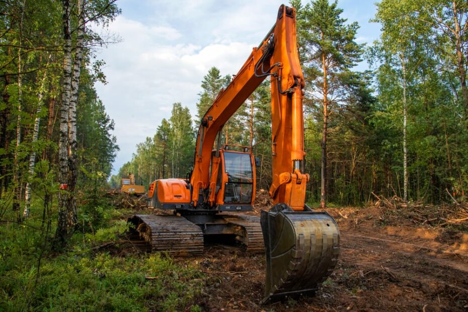 Land Clearing: What it Is, Costs You Can Expect and Top-Rated Services